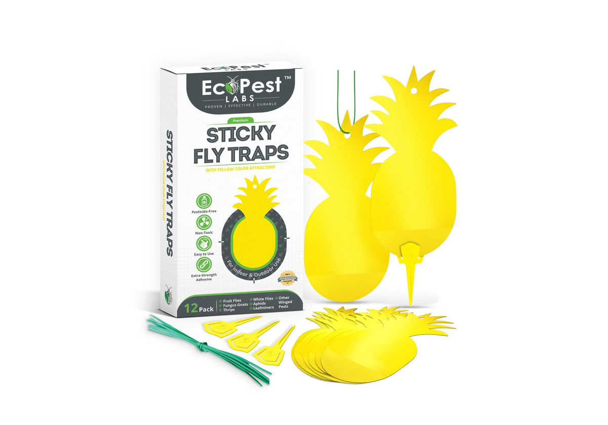 Announcing the EcoPest Labs™ Sticky Fly Traps!