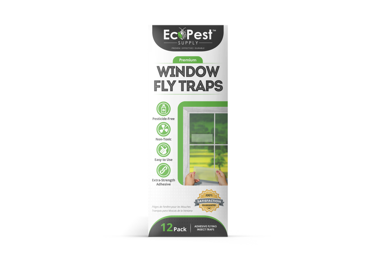 Announcing the Window Fly Traps!