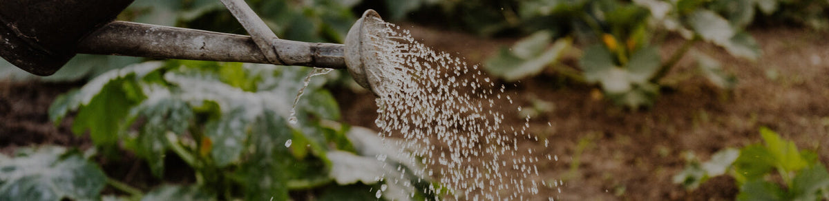 Quality Gardening Pest Control Products & Services – EcoPest Supply