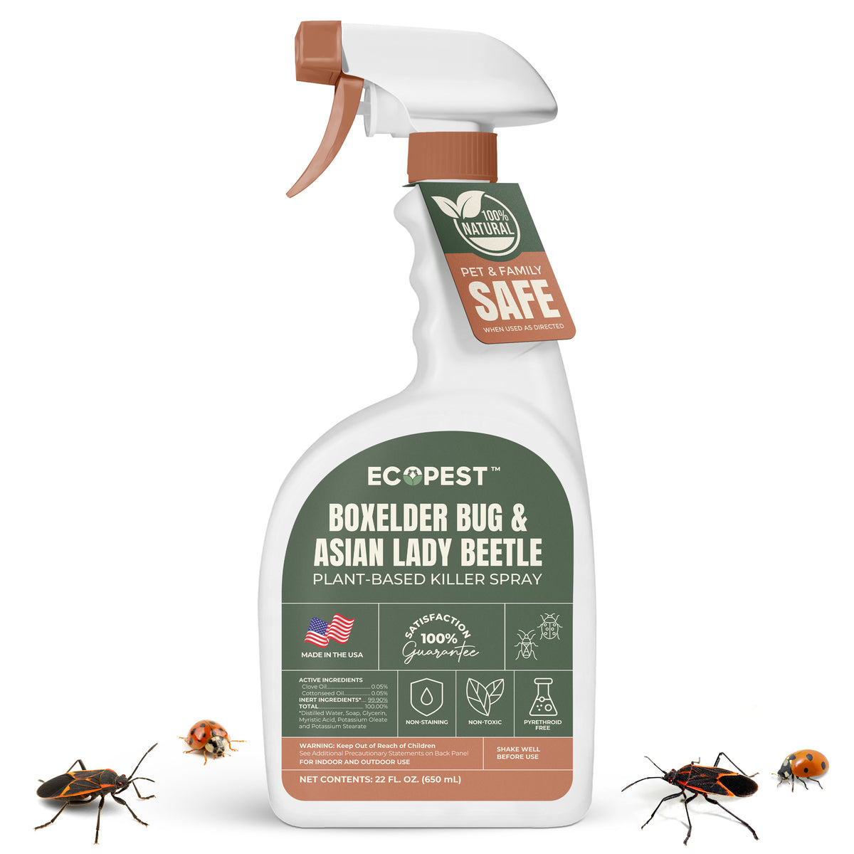 Boxelder Bug & Asian Lady Beetle Spray – Natural, Plant-Based Spray wi