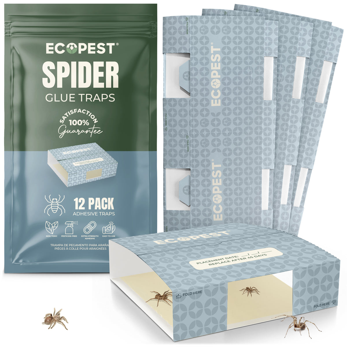 Spider Glue Trap – 12 Pack | Sticky Spider Motel, Bait Trap, Monitor ...
