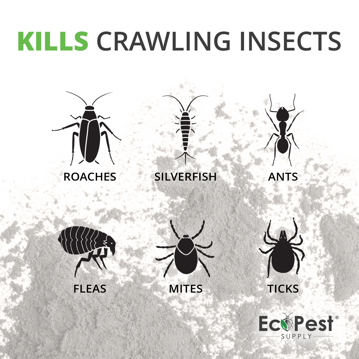 Crawling Insect Killer Dust, 1 lb | Natural Pumice Powder with Thyme a