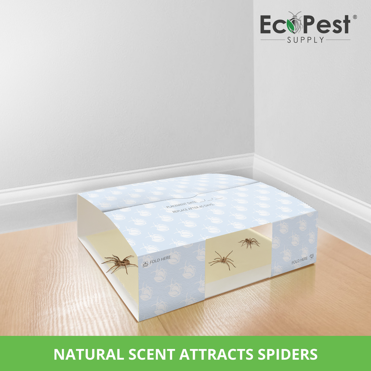 Spider Glue Trap – 12 Pack | Sticky Spider Motel, Bait Trap, Monitor ...