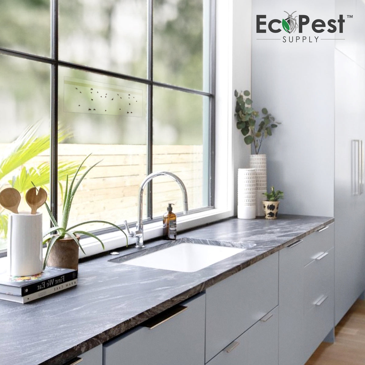 Window Fly Trap – 12 Pack | Transparent Sticky Fly Strips for Windows ...